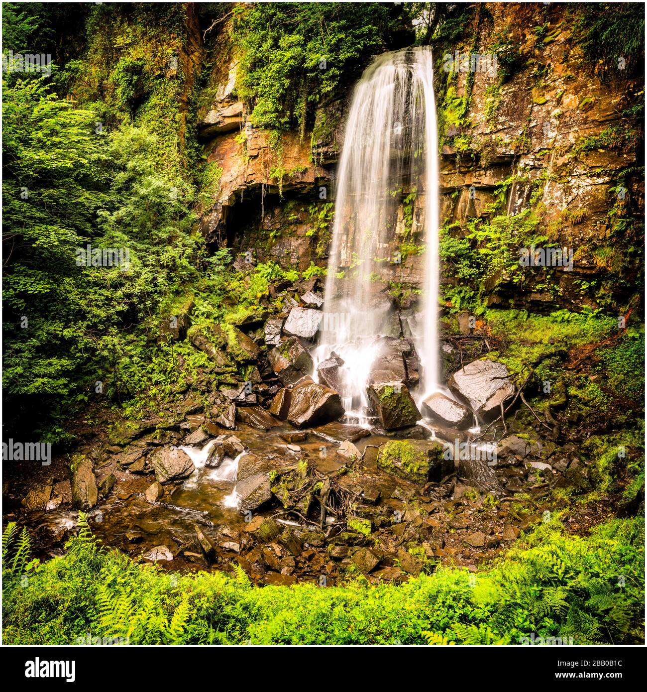 Green pool stone Cut Out Stock Images & Pictures - Alamy