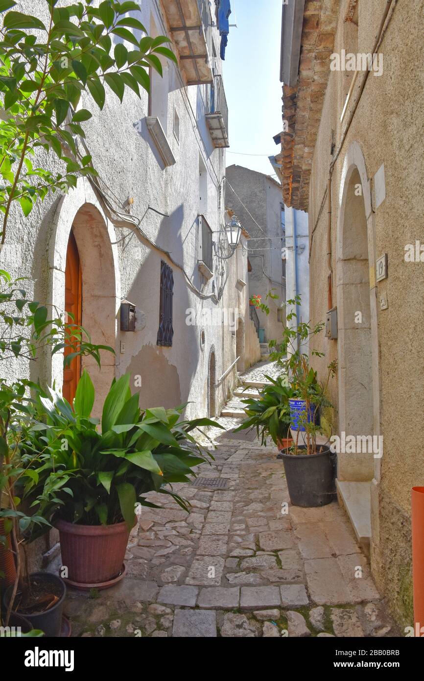 Castelvetere sul Calore, Italy. A narrow street between the old houses ...