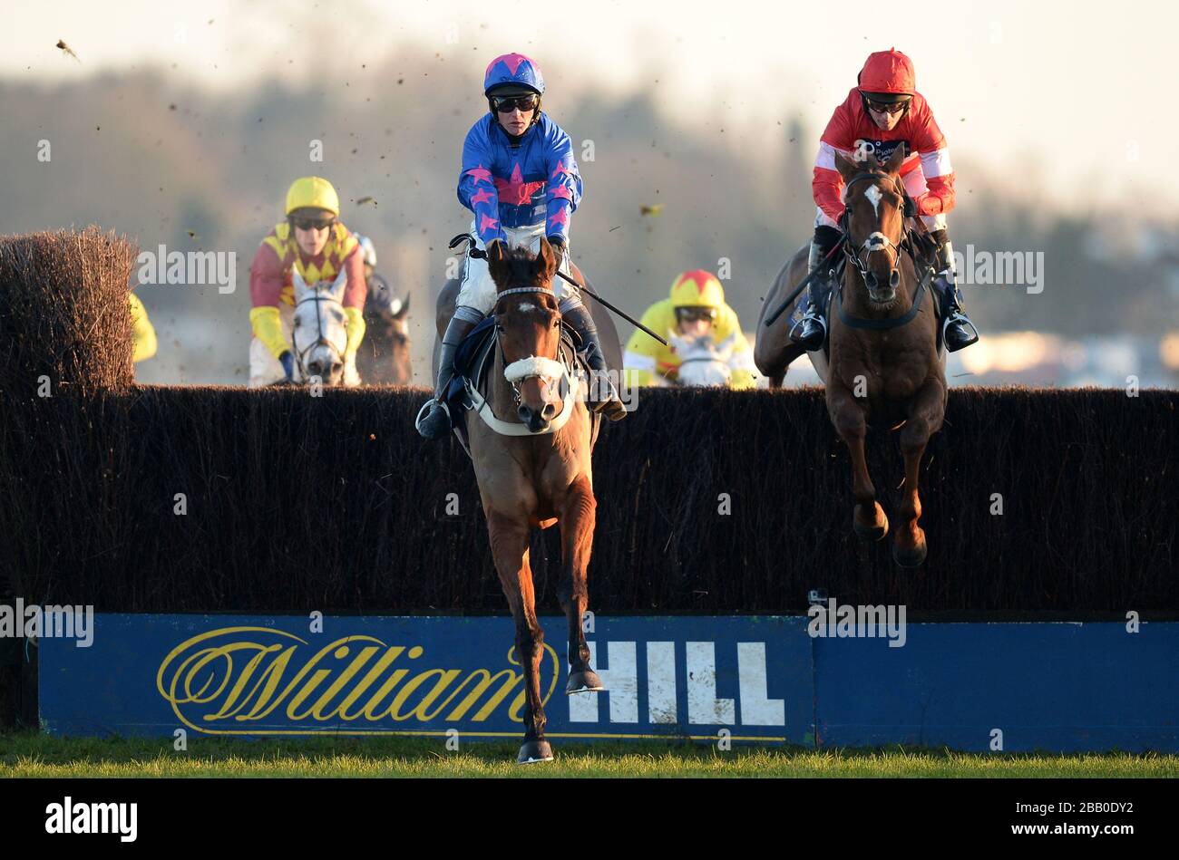 Cue card horse hi-res stock photography and images - Alamy