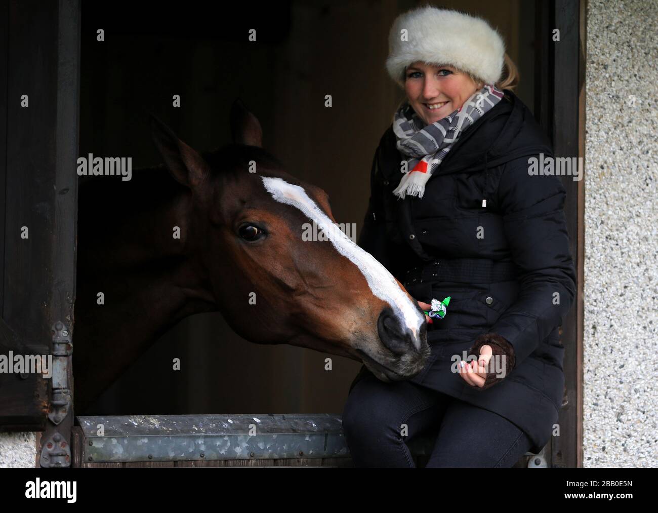 Kauto star in stable hi-res stock photography and images - Alamy