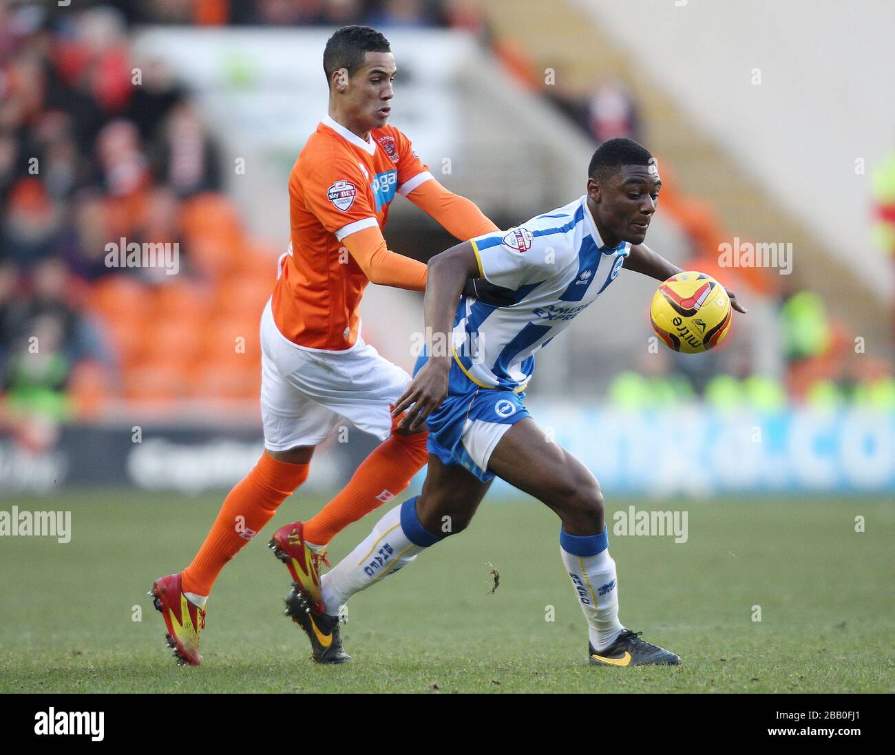 Rohan ince hi-res stock photography and images - Alamy