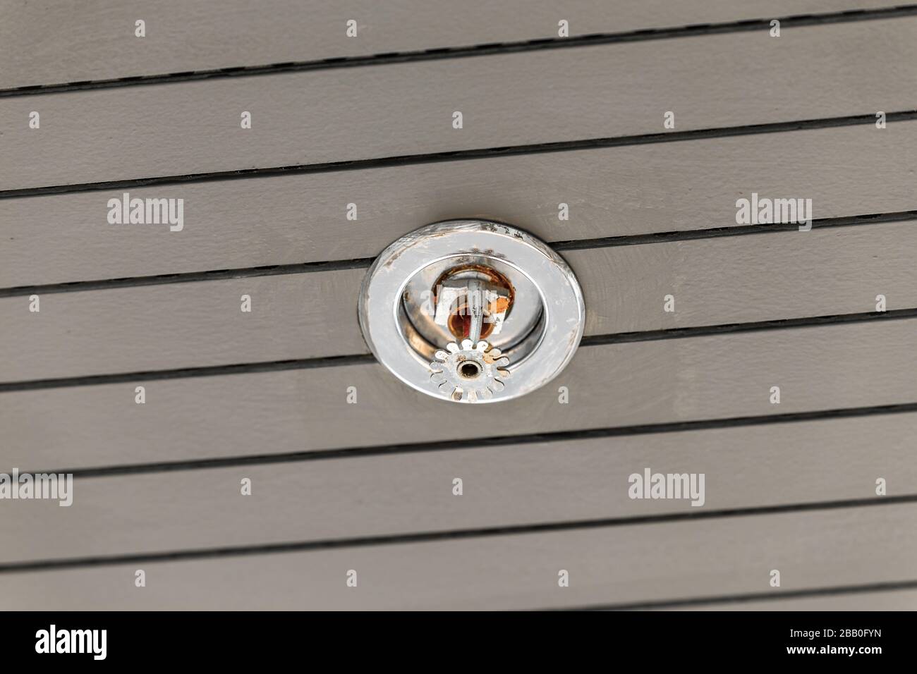 Image of pendent fire sprinkler in acoustic wooden ceiling texture ...