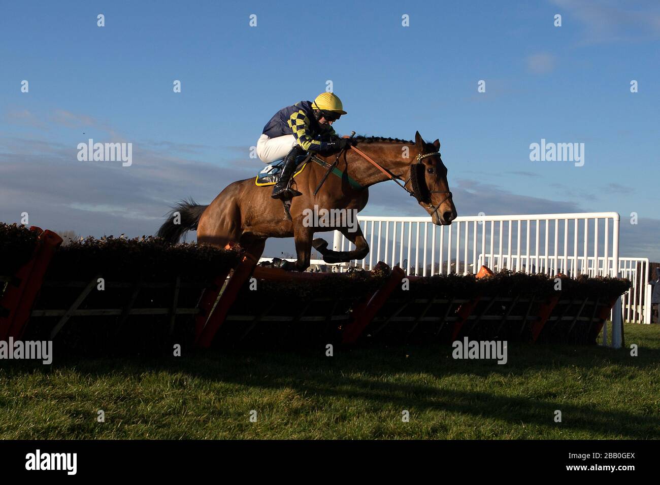 Jockey Adam Nicol on Brunello during the William Hill - In The App ...