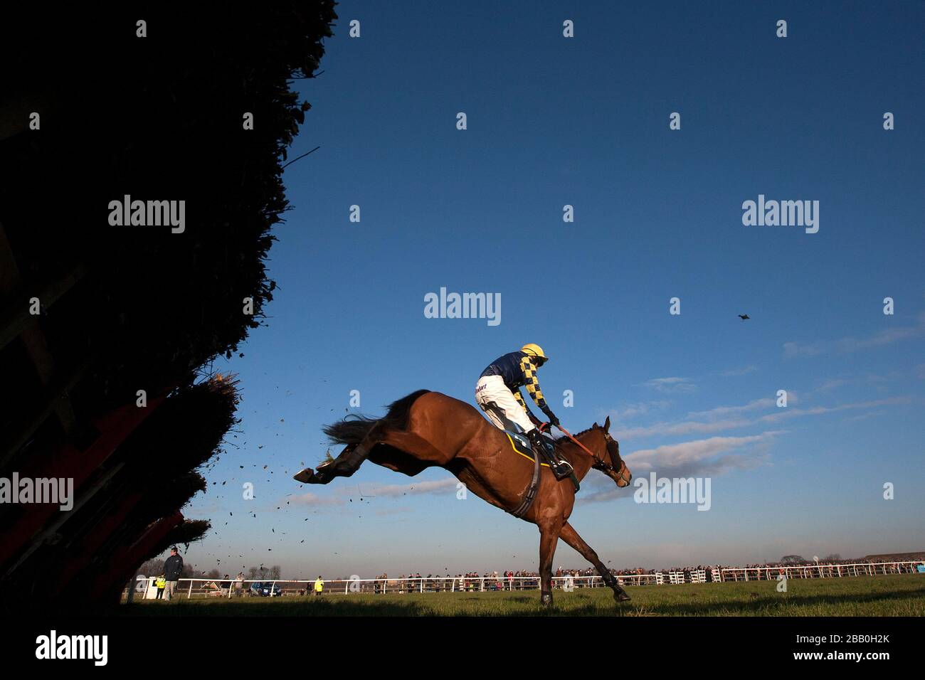 Jockey Adam Nicol on Brunello during the William Hill - In The App ...