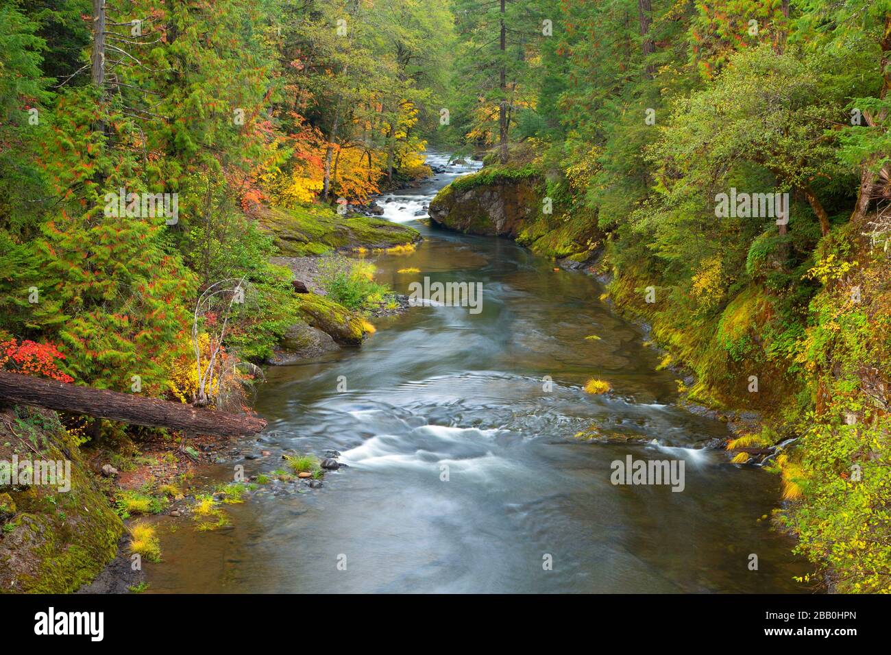 Umpqua nf hi-res stock photography and images - Alamy