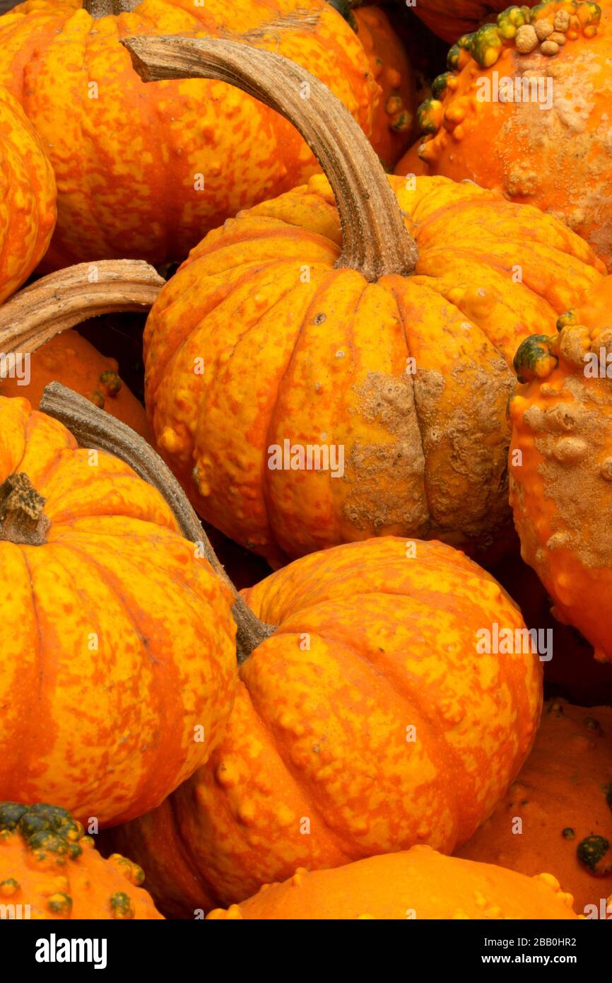 Grandpas Are High Resolution Stock Photography and Images - Alamy