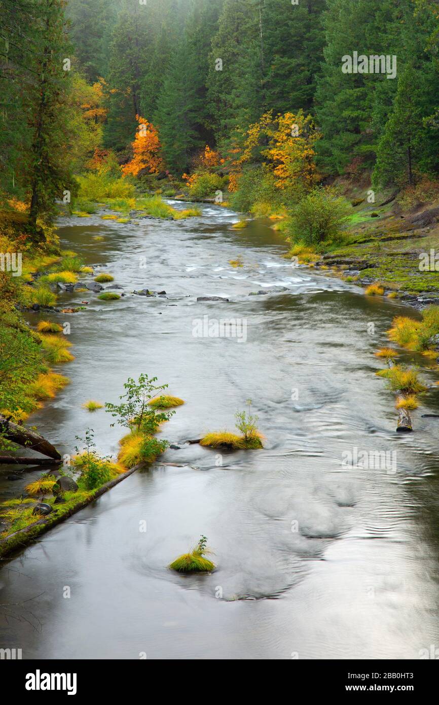 Oregon river umpqua hi-res stock photography and images - Alamy