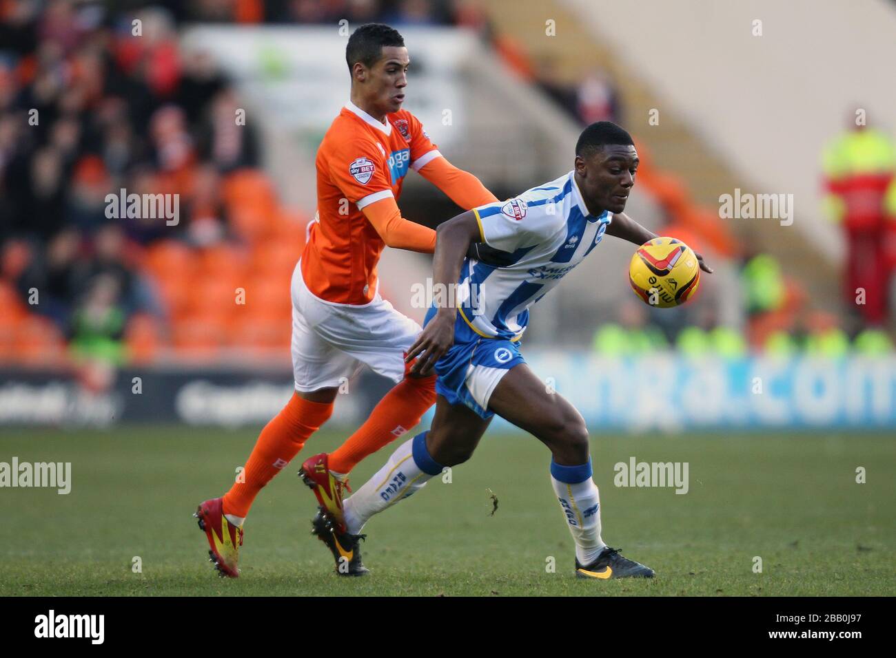 Blackpool's Thomas Ince and Brighton and Hove Albion's Rohan Ince ...