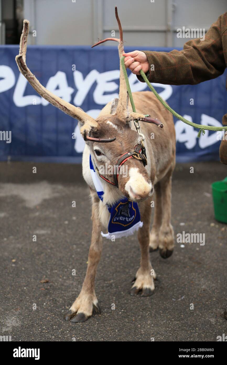 Scalf hi-res stock photography and images - Alamy