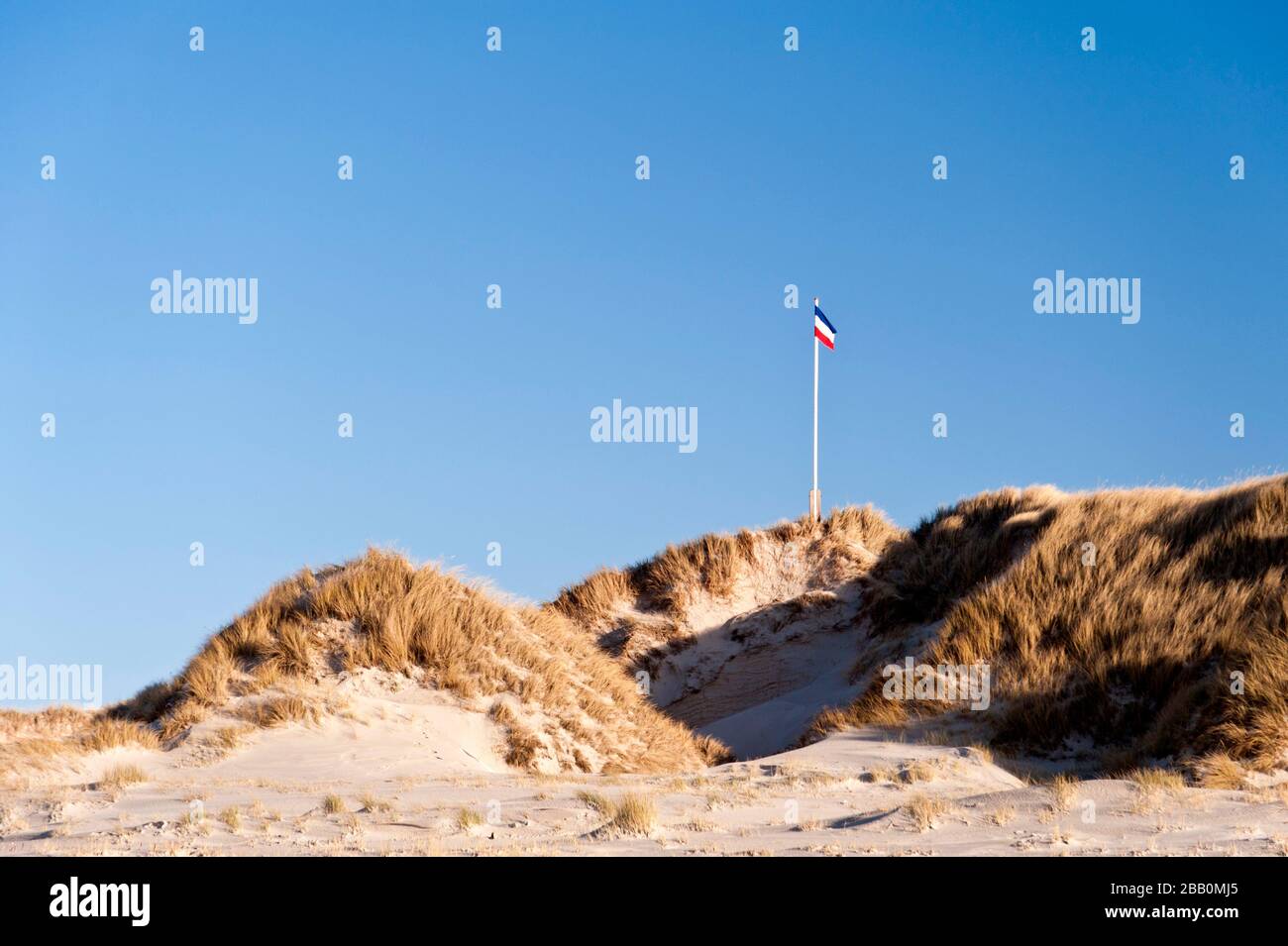 Dumes High Resolution Stock Photography and Images - Alamy
