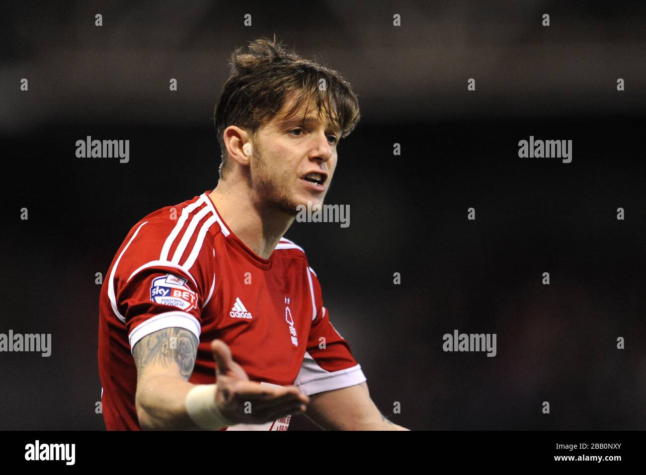 Greg halford forest hi-res stock photography and images - Alamy