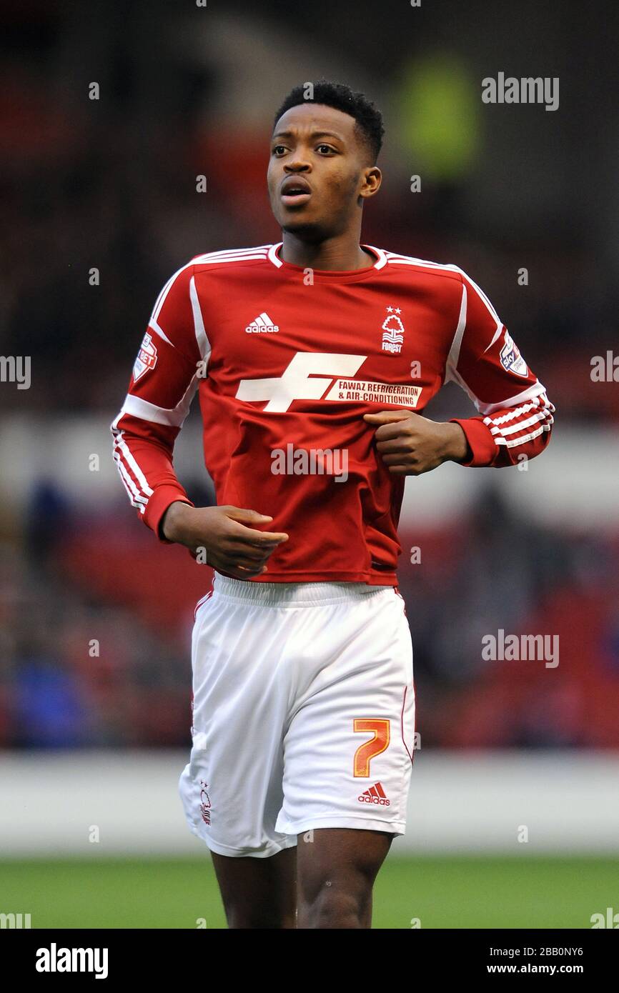 Nathaniel chalobah forest hi-res stock photography and images - Alamy