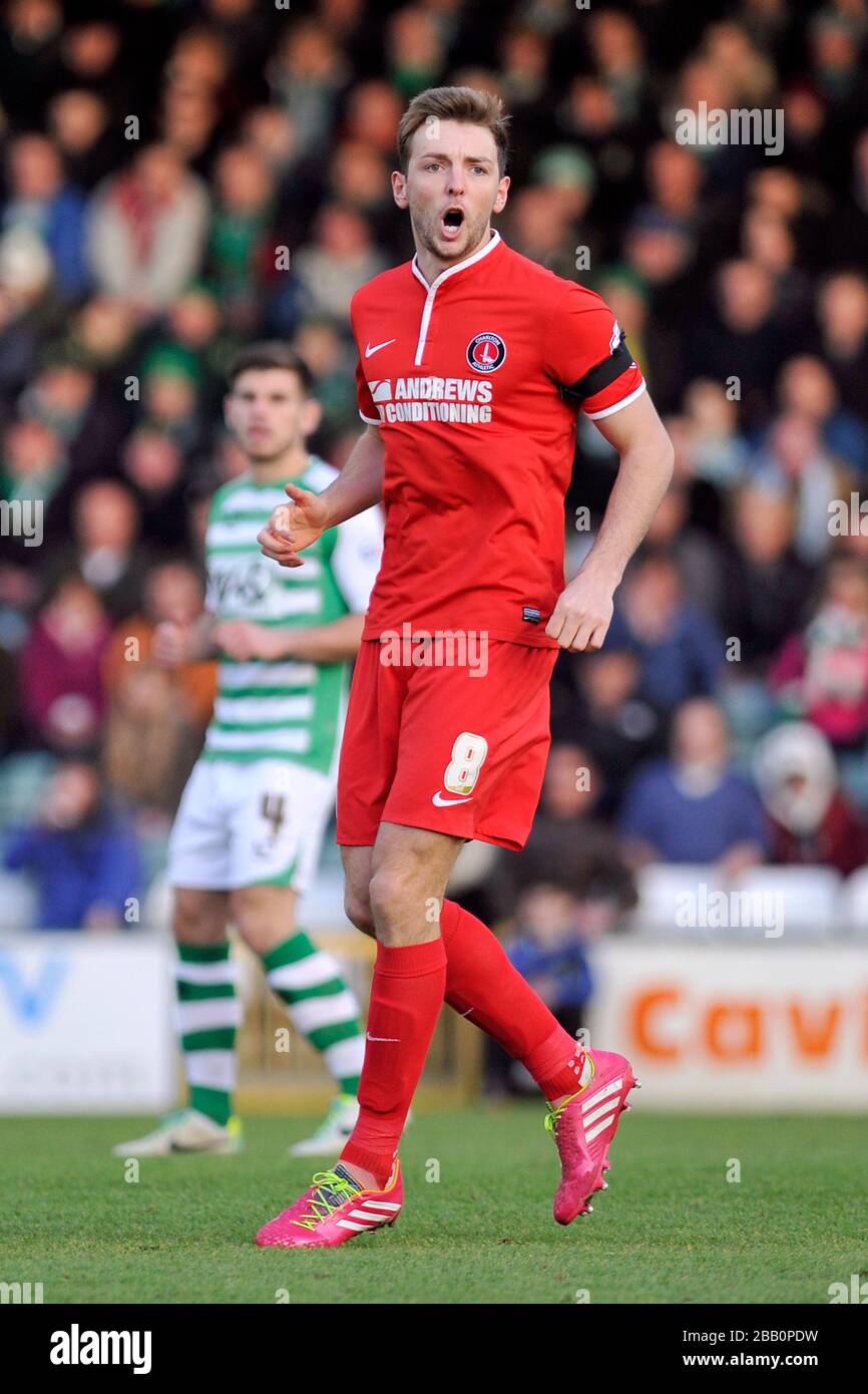 Dale Stephens, Charlton Athletic Stock Photo - Alamy