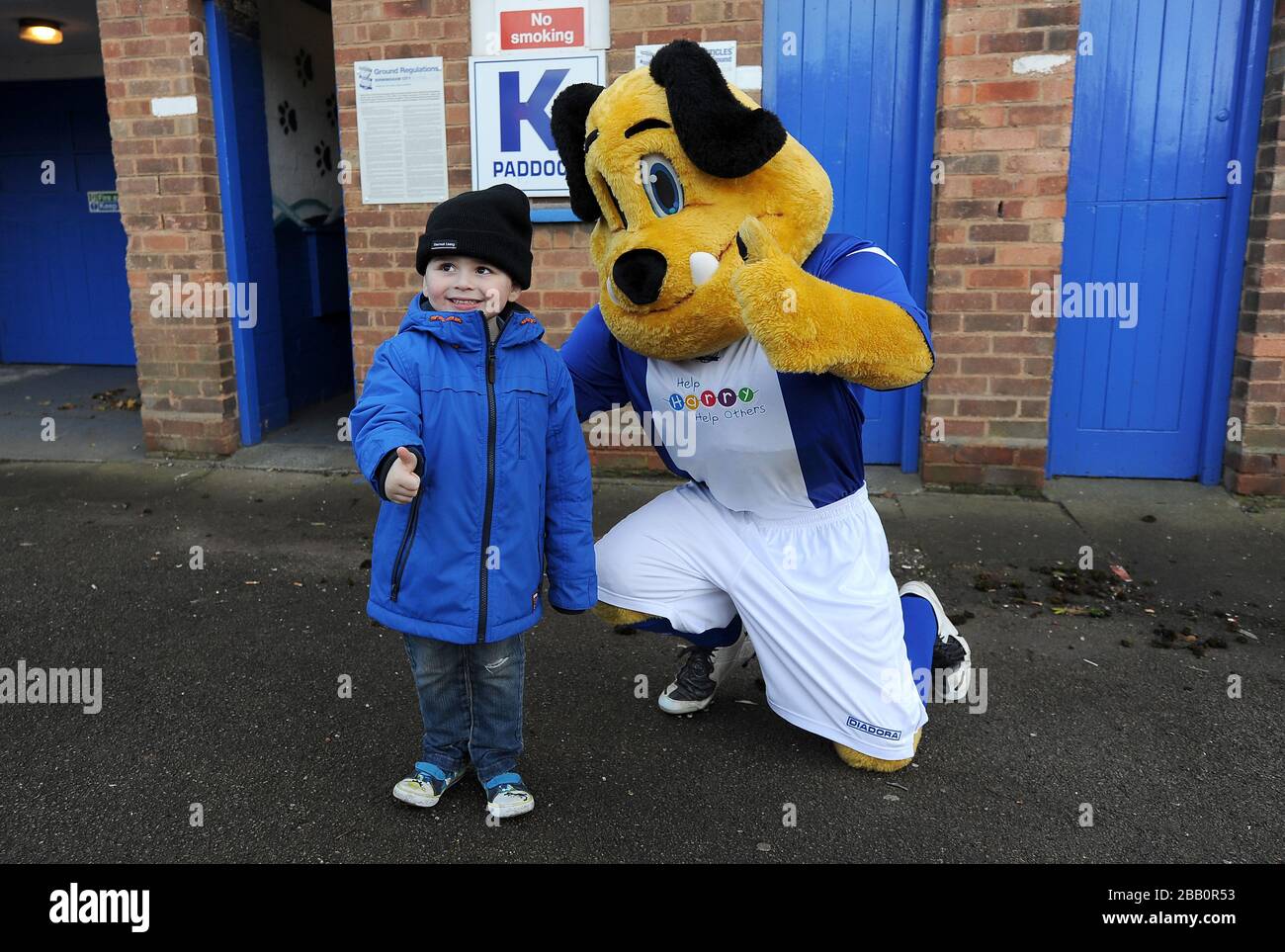 Birmingham City mascot Beau Brummie poses with a young fan at St Andrew ...