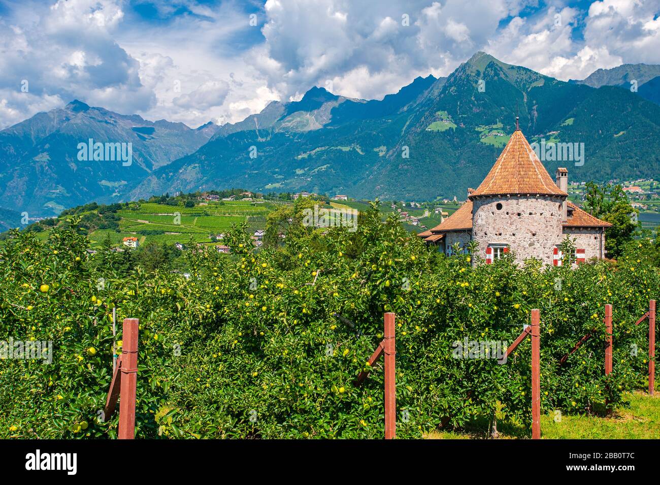 Italy South Tyrol - Merano - Maia Alta - Planta Greifen Castle Stock ...
