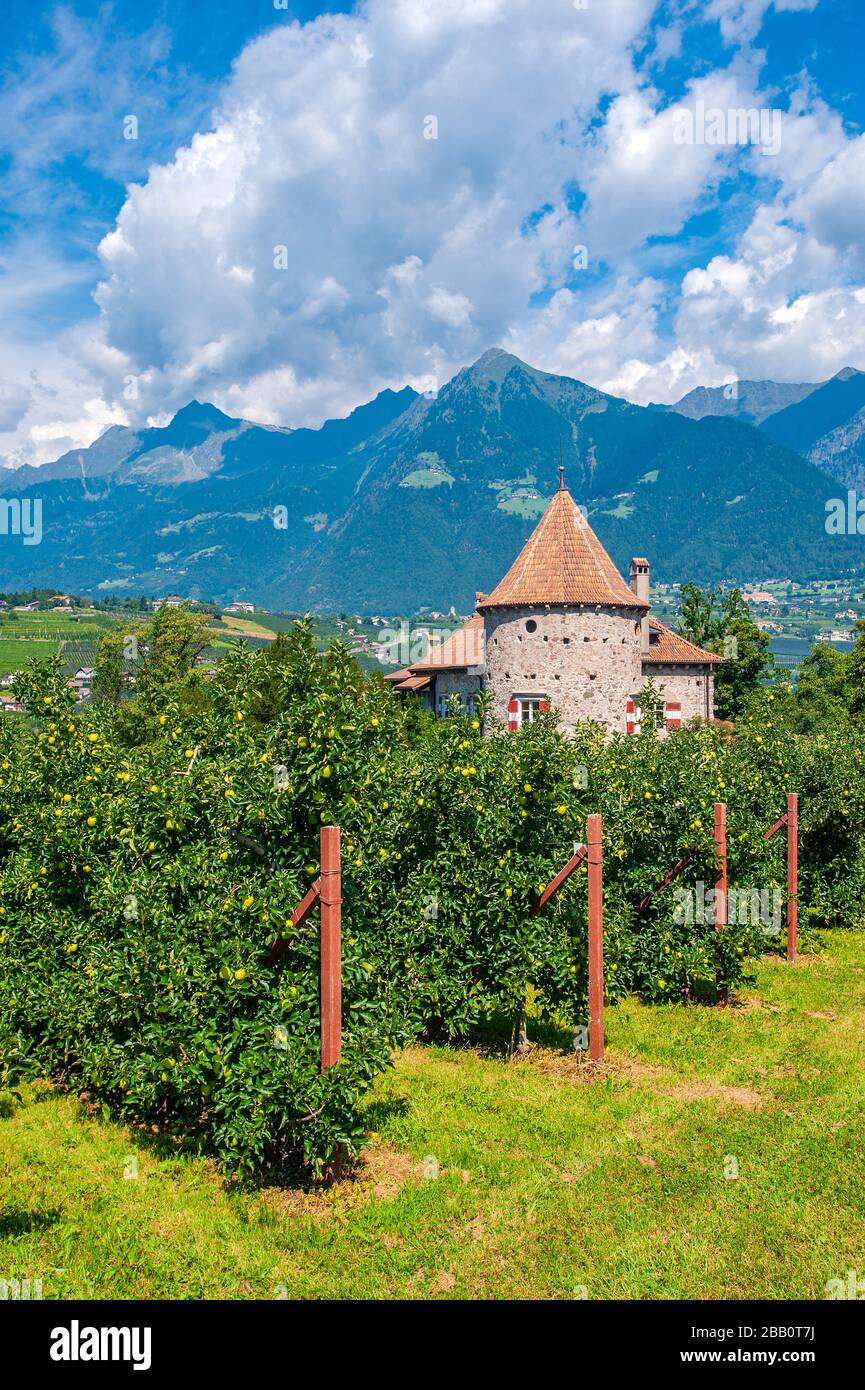 Italy South Tyrol - Merano - Maia Alta - Planta Greifen Castle Stock ...
