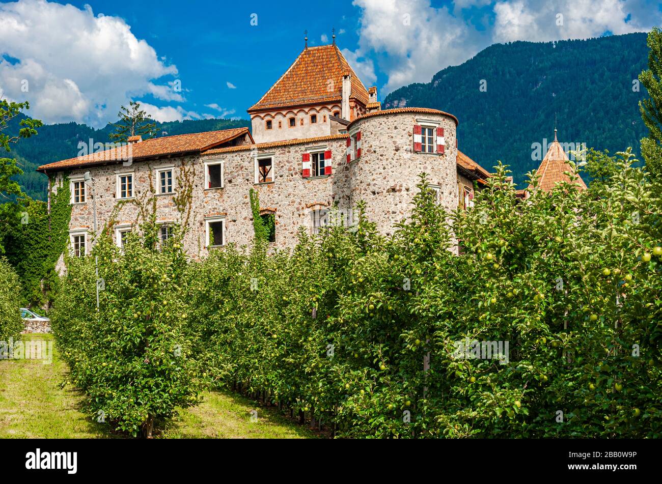 Planta alta hi-res stock photography and images - Alamy