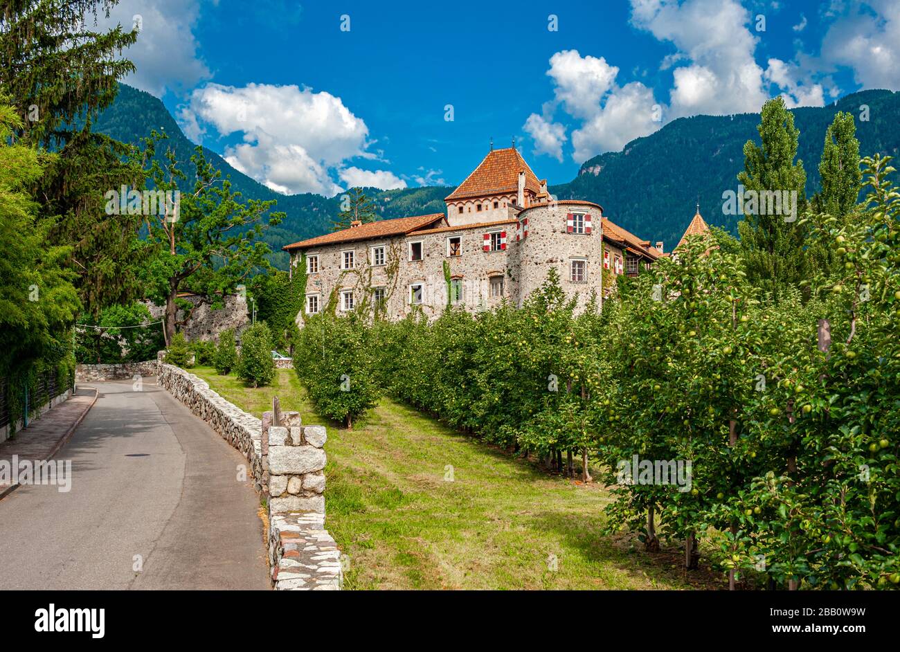 Planta alta hi-res stock photography and images - Alamy