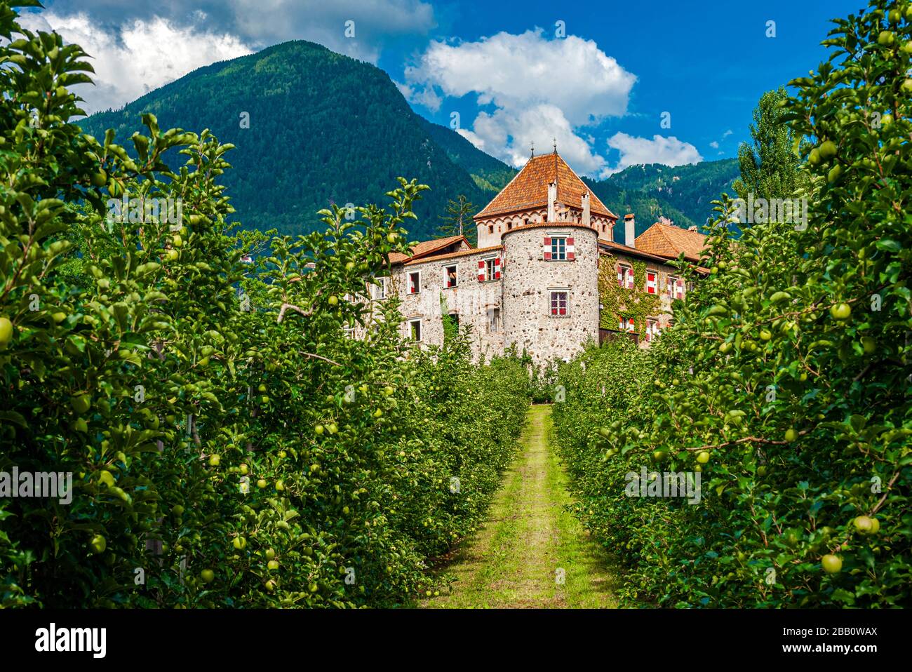 Italy South Tyrol - Merano - Maia Alta - Planta Greifen Castle Stock ...