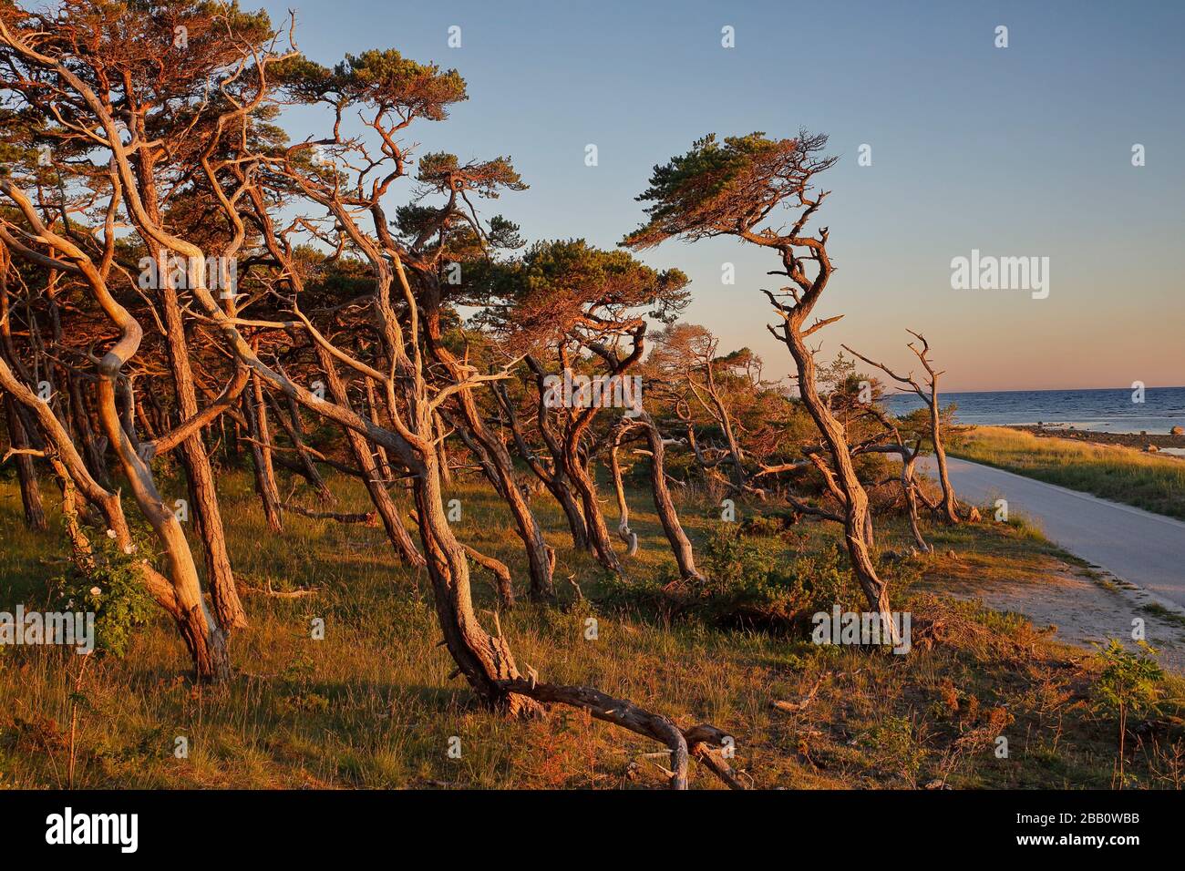 Gotland landscape hi-res stock photography and images - Alamy