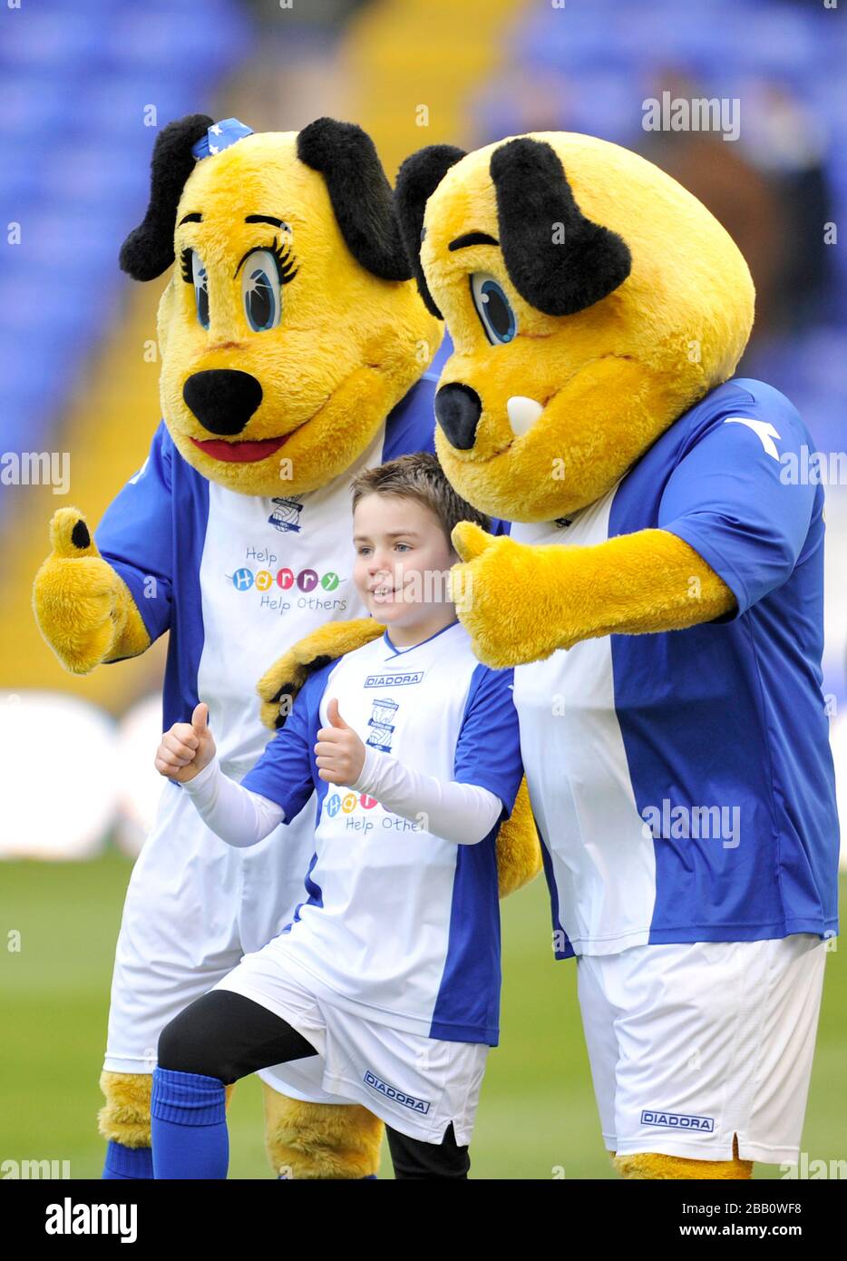 Birmingham City mascots Belle and Beau Brummie with the match day ...