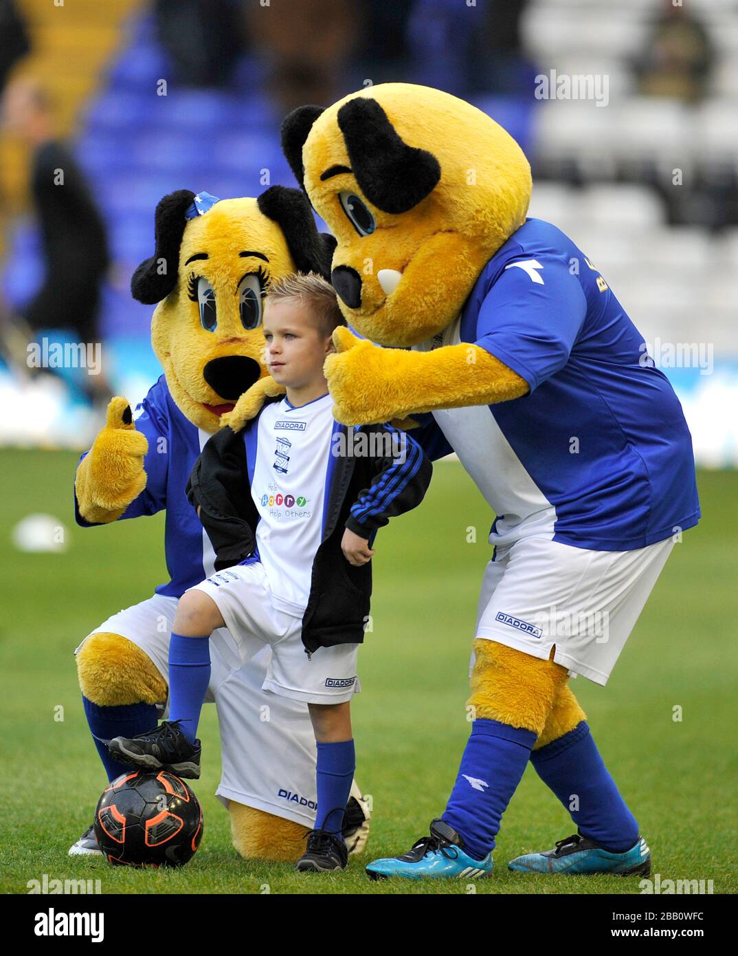 Birmingham City mascots Belle and Beau Brummie with the match day ...