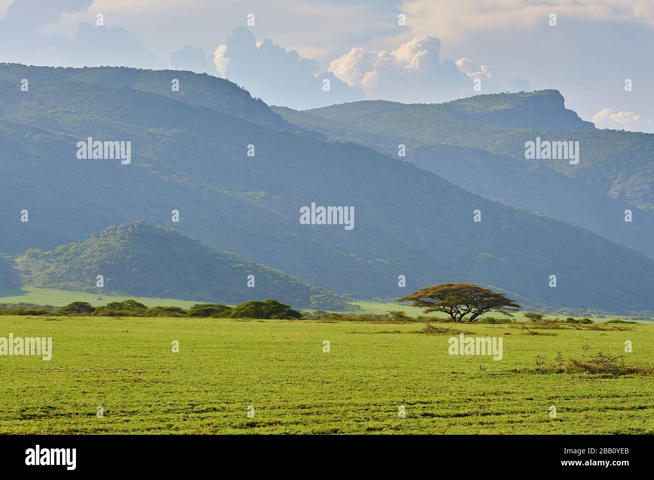 Sanyan plain hi-res stock photography and images - Alamy