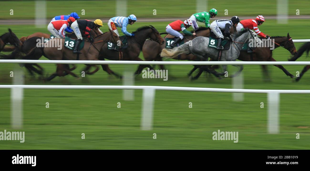 Murphy group hi-res stock photography and images - Alamy