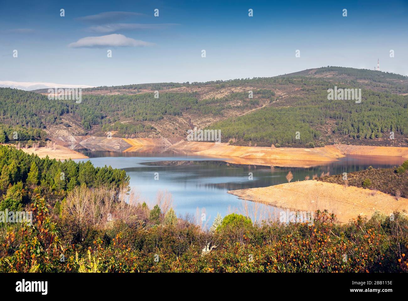 Cistus and conifers at Atazar reservoir on a sunny morning. Madrid ...