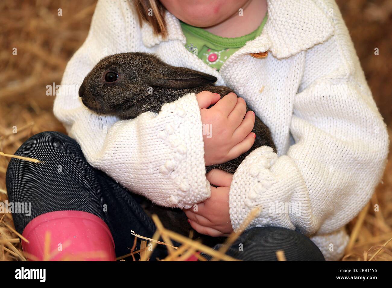 Children meet animals at the Cotswold Farm Park at the tented village ...