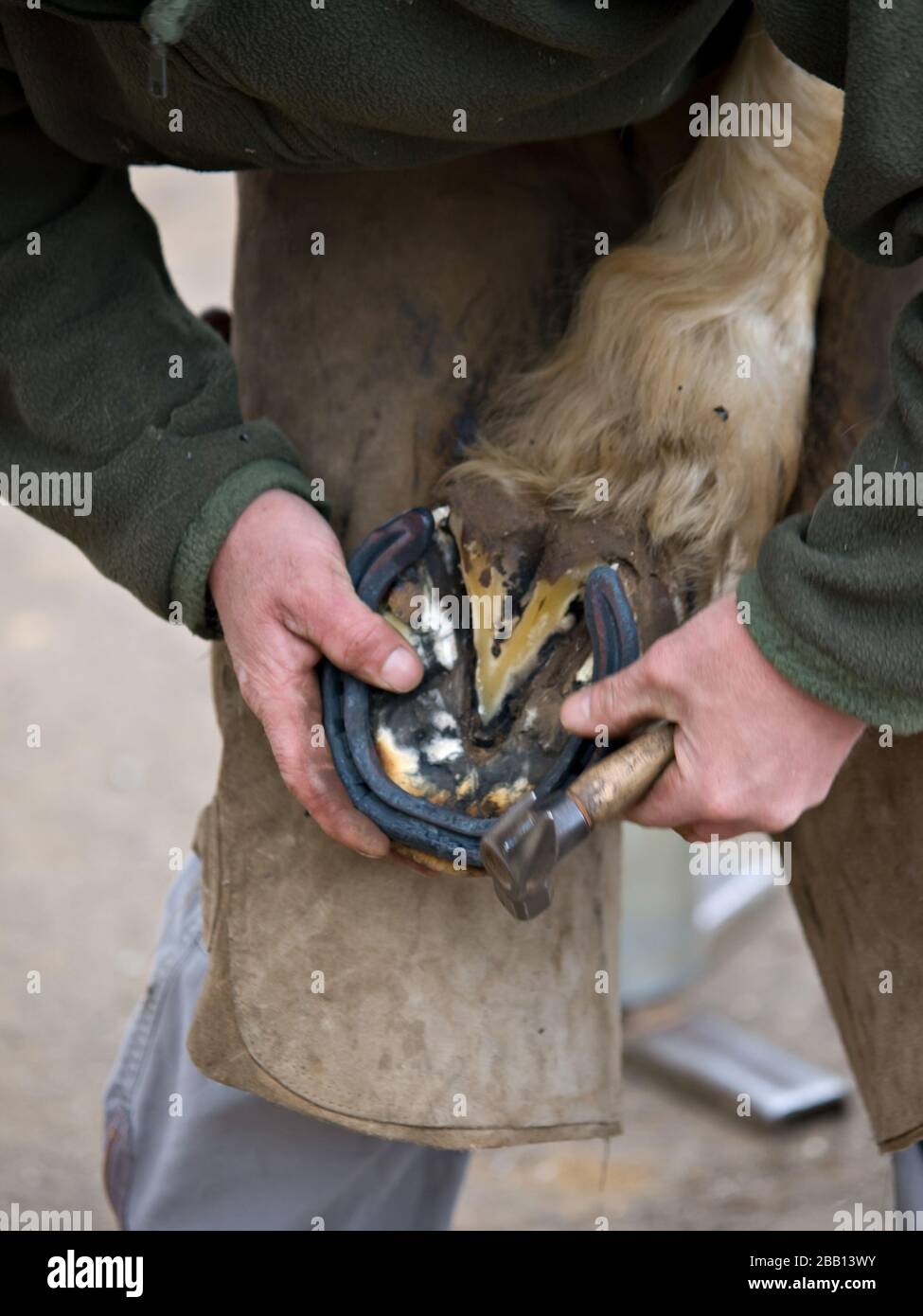 Horse shoe nails hi-res stock photography and images - Alamy