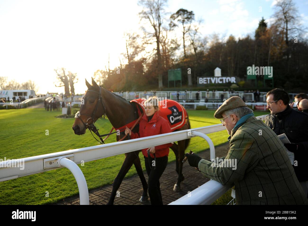 The parade ring at sandown races hi-res stock photography and images ...