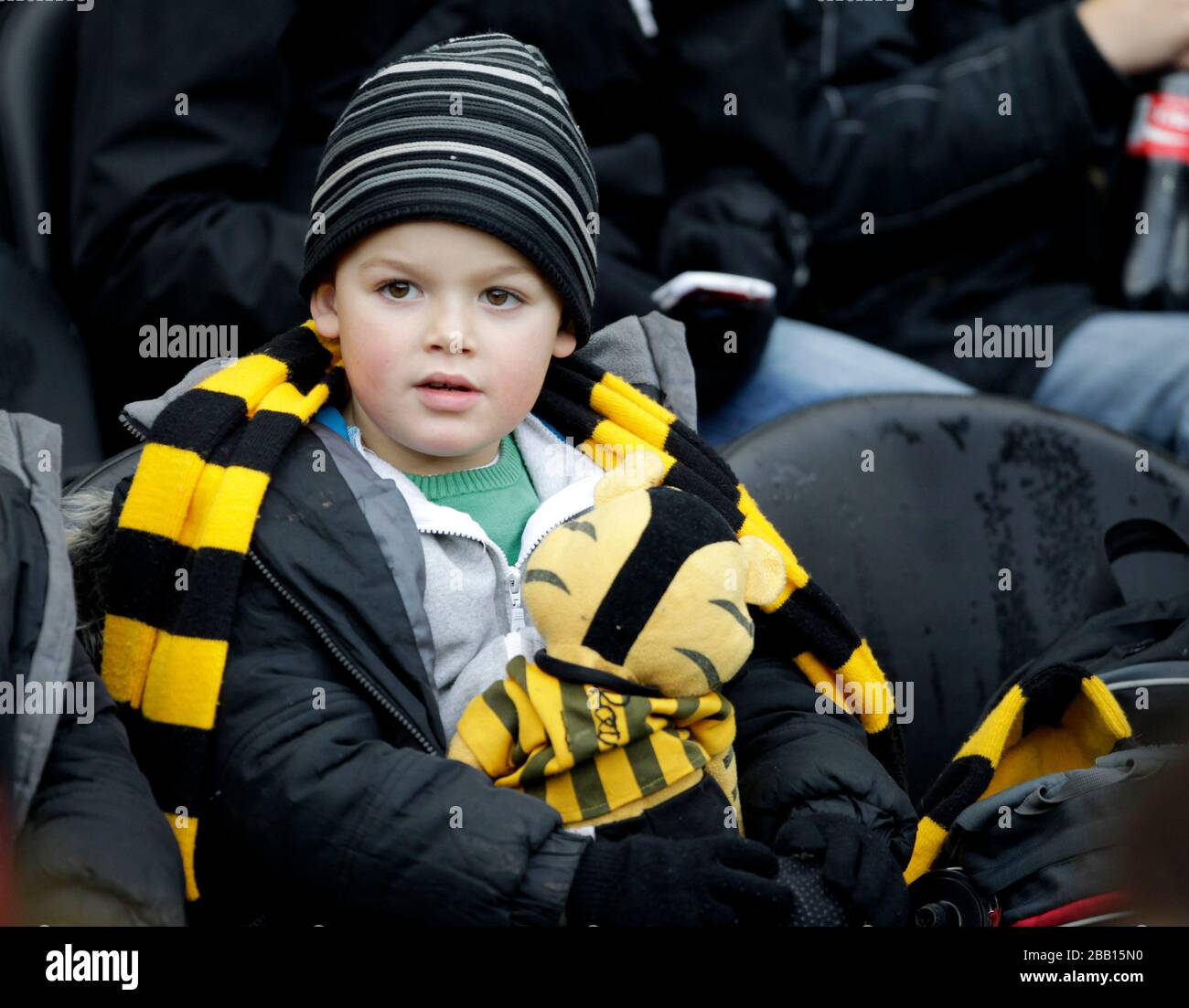 A young hull city fan hi-res stock photography and images - Alamy