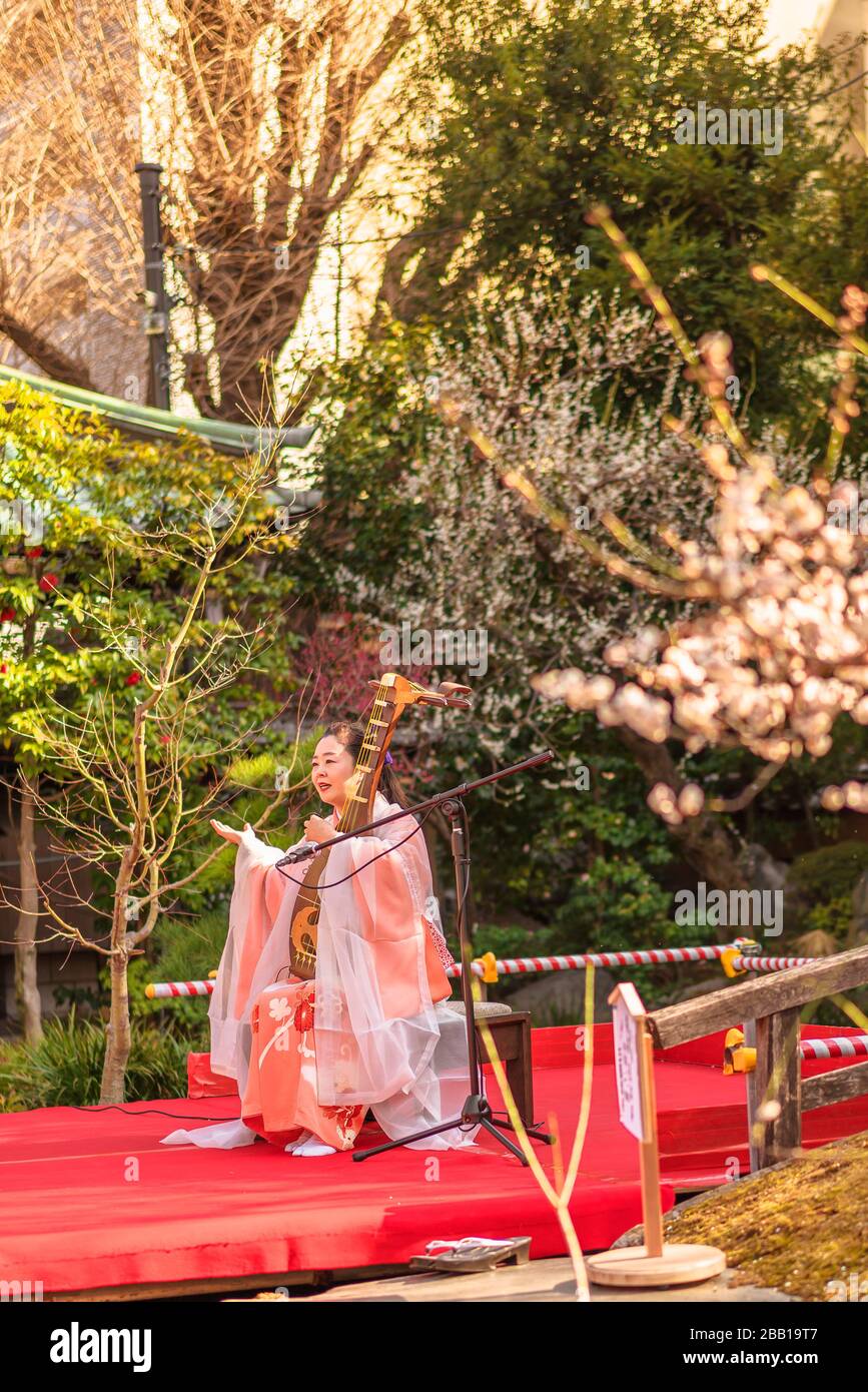 Biwa instrument hi-res stock photography and images - Alamy