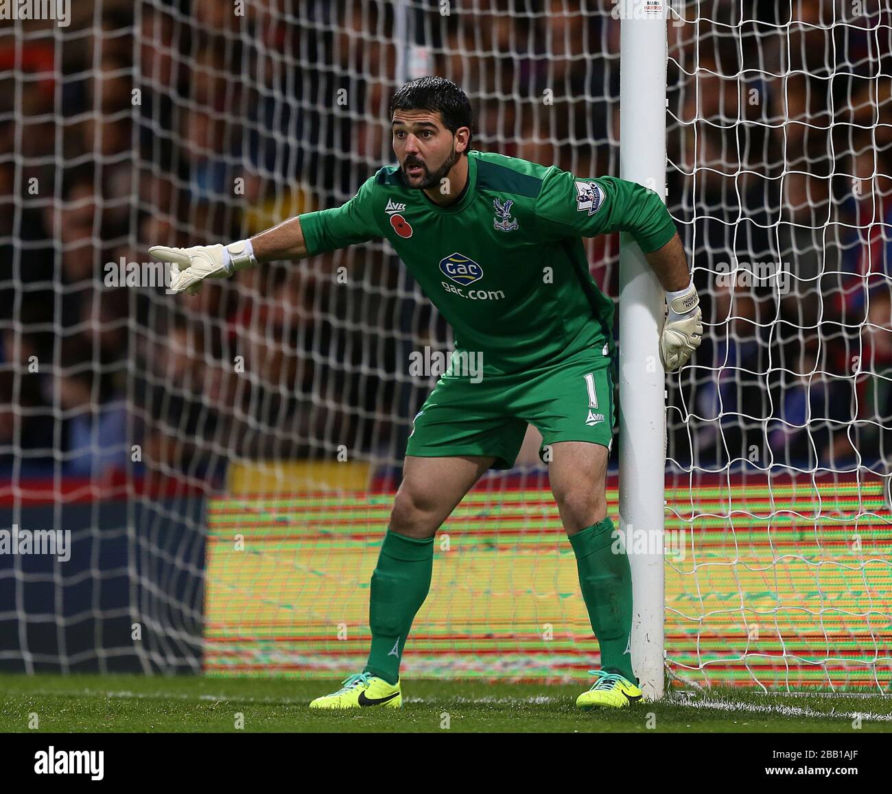 Julian Speroni, Crystal Palace goalkeeper Stock Photo - Alamy