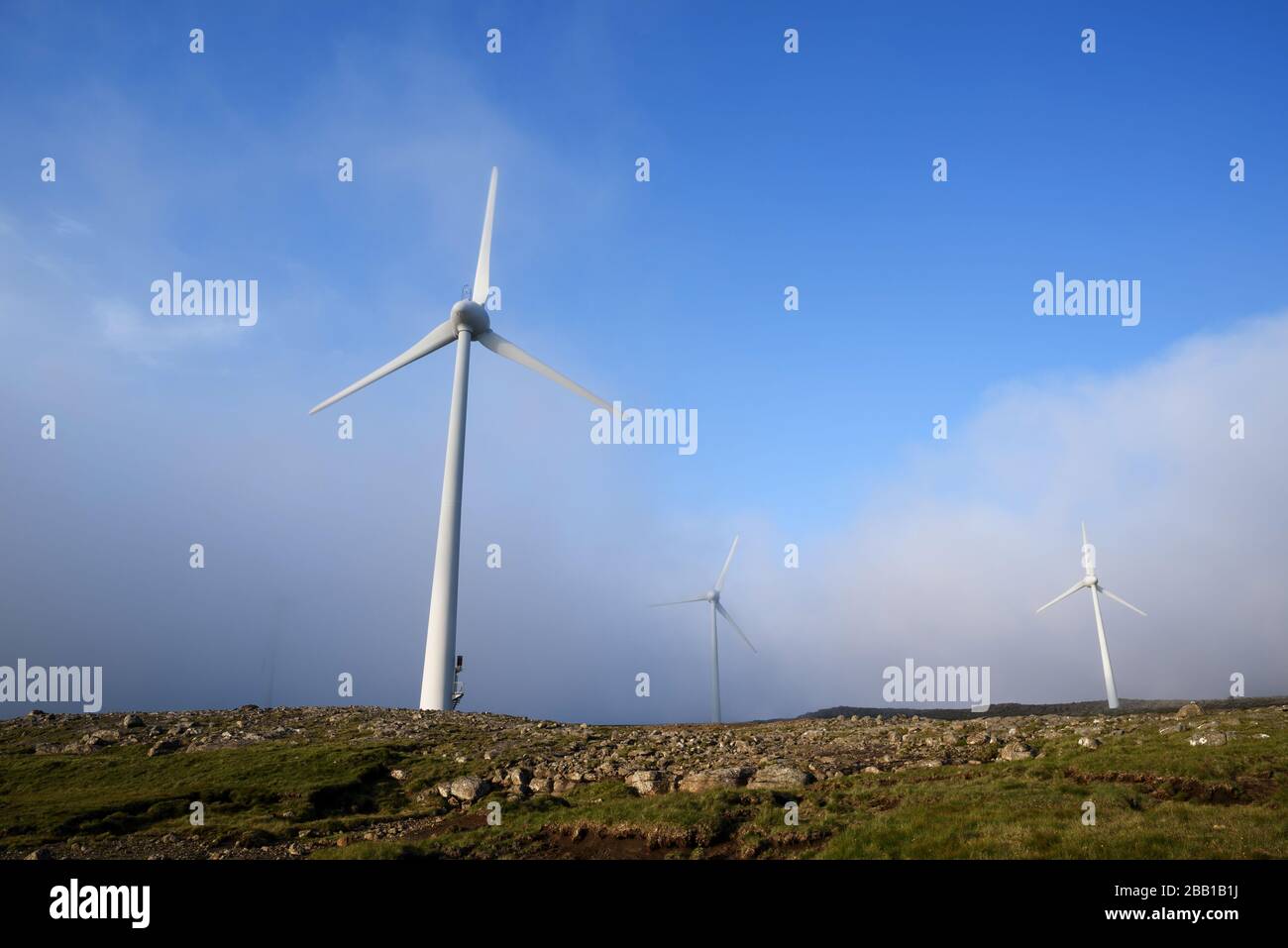 Wind farm in the fog. Renewable electricity Stock Photo - Alamy