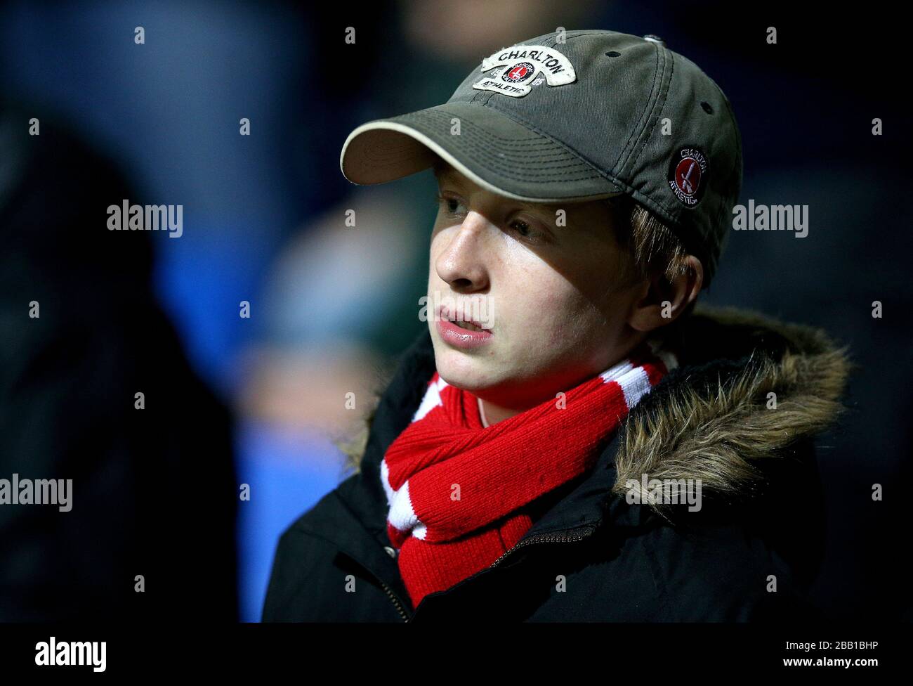 A Charlton Athletic fan watches on from the stands Stock Photo - Alamy