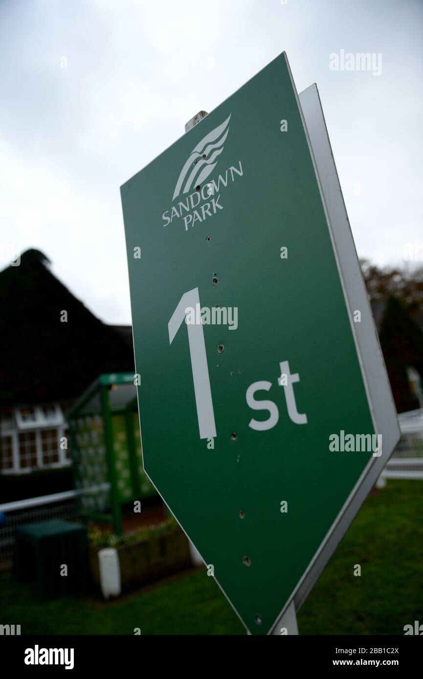 Ampics detail view hi-res stock photography and images - Alamy