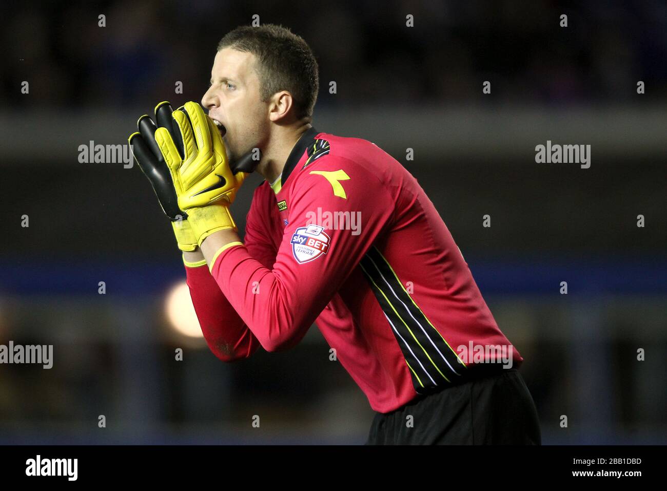 Goalkeeper Colin Doyle, Birmingham City Stock Photo - Alamy