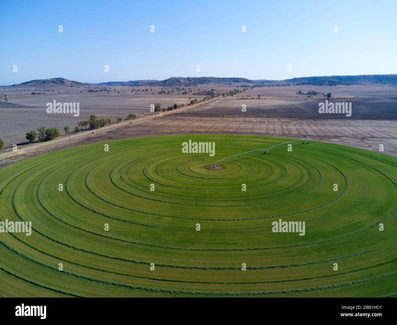 Aerial of centre pivot irrigation systems producing lucerne hay in an ...