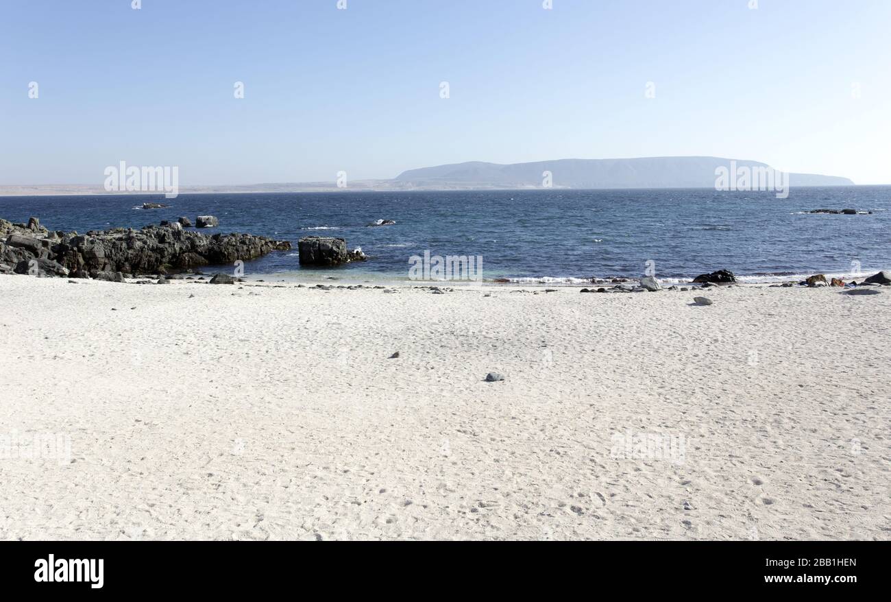 Pan de azucar park in north of Chile Stock Photo - Alamy