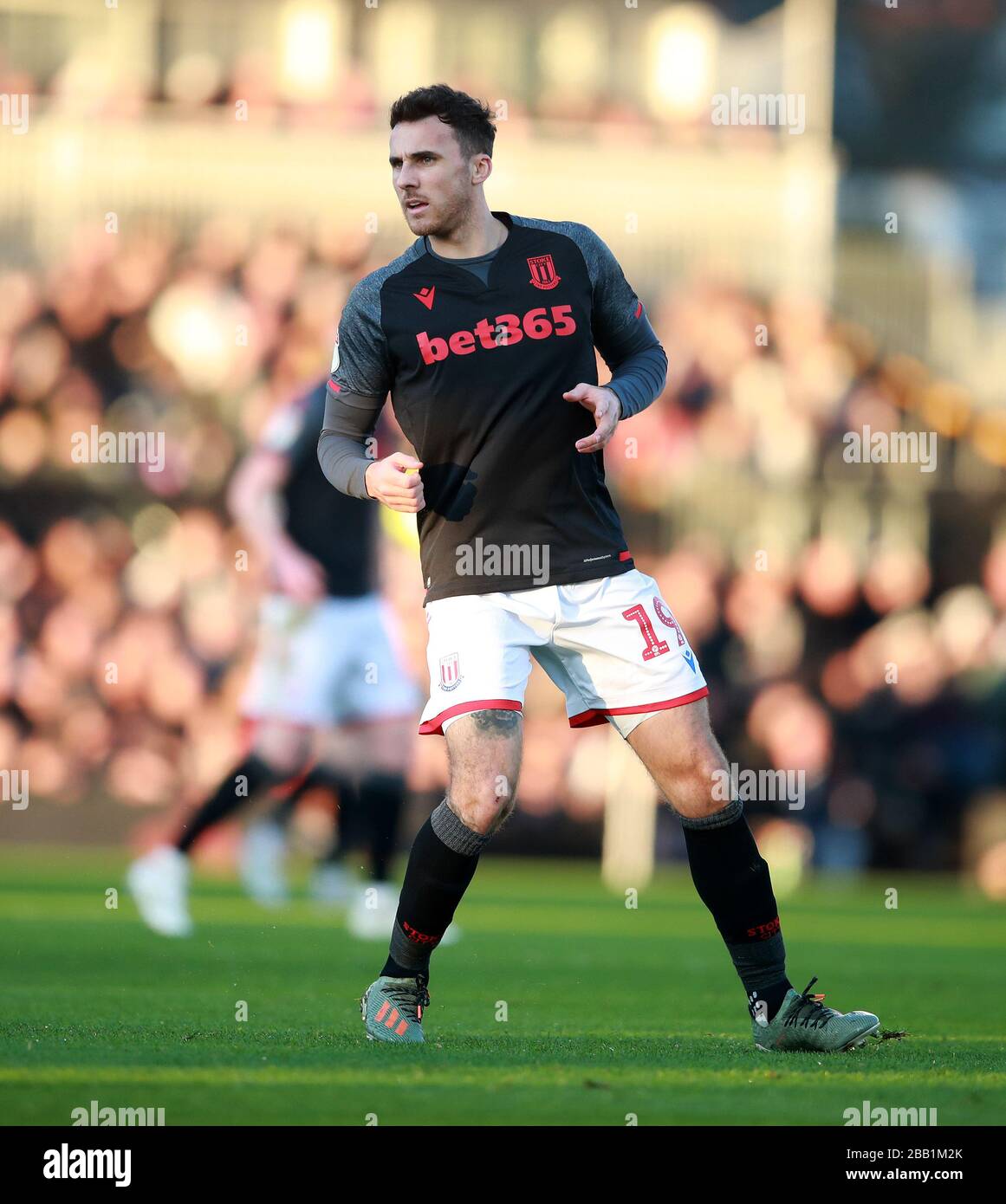 Stoke City's Lee Gregory Stock Photo - Alamy