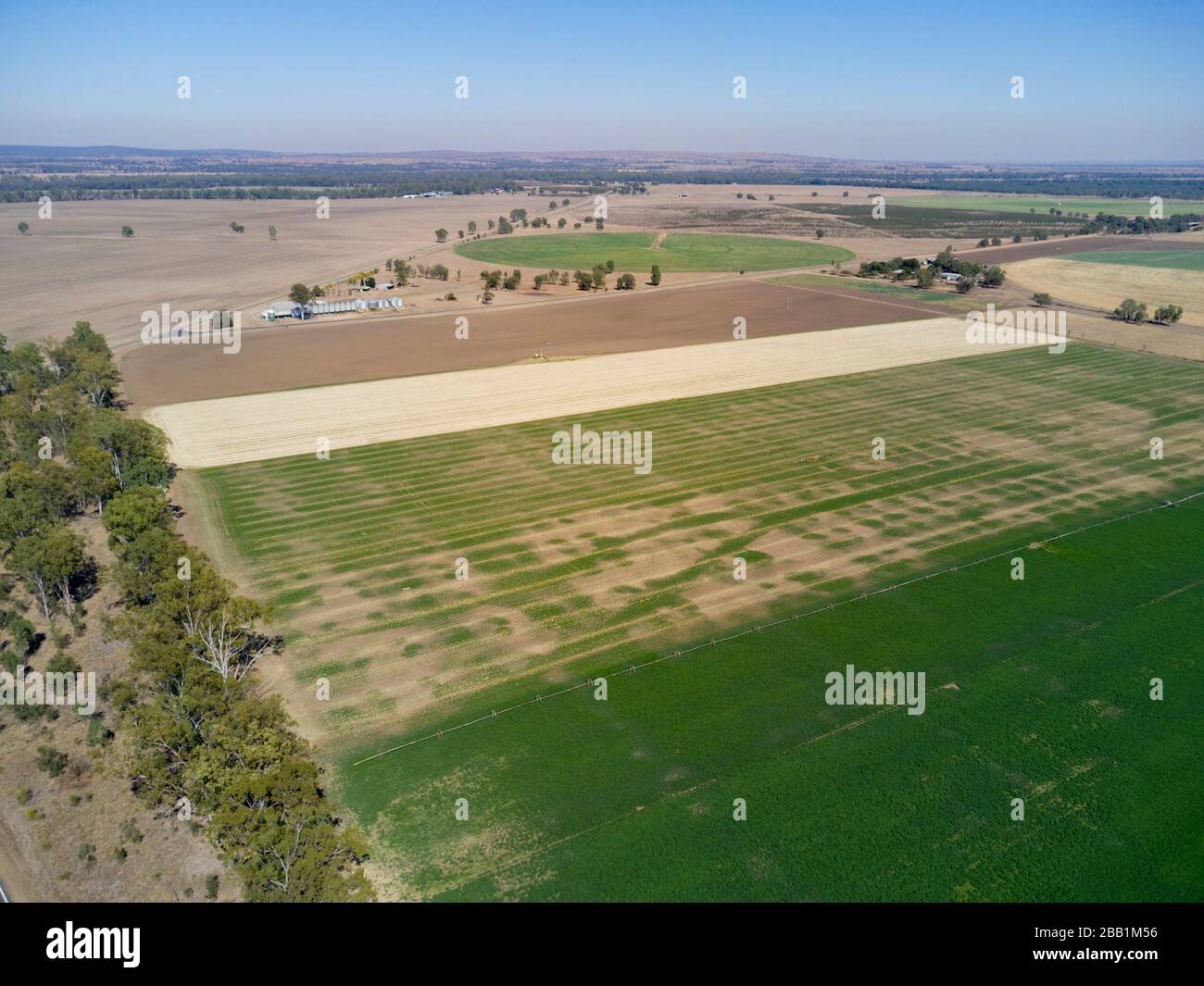 Aerial of irrigated lucerne hay growing in Goovigen Central Queensland ...