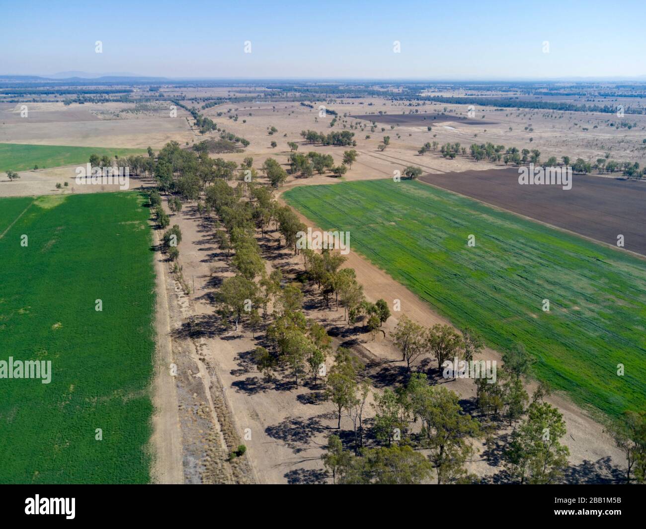 Aerial of irrigated lucerne hay growing in Goovigen Central Queensland ...