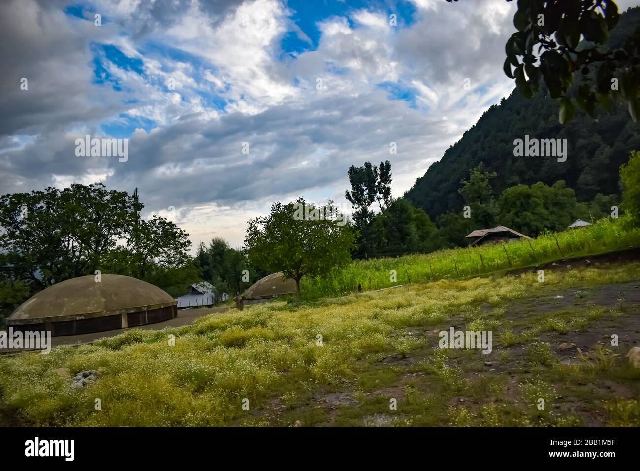 Beautiful view of clouded sky with lush green pine and walnut trees at ...