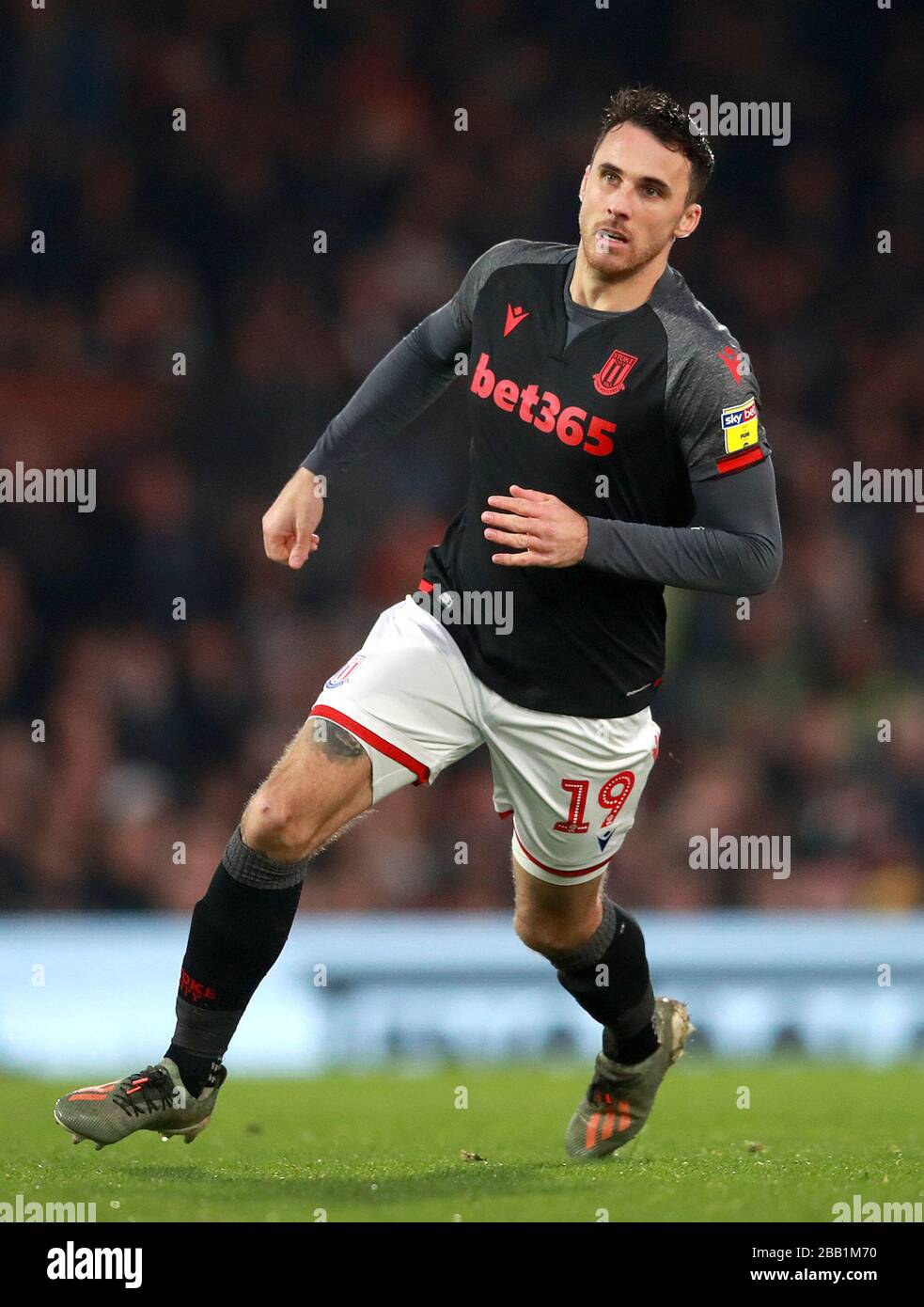 Stoke City's Lee Gregory Stock Photo - Alamy