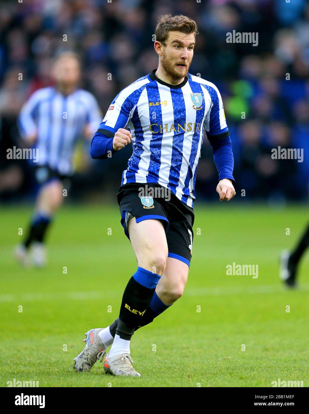 Sheffield Wednesday's Sam Winnall in action Stock Photo - Alamy