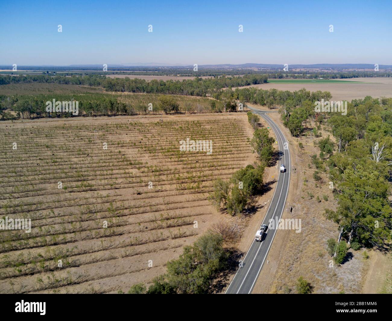 Aerial of paddock with vertical hedging feeding of cattle near Goovigen ...