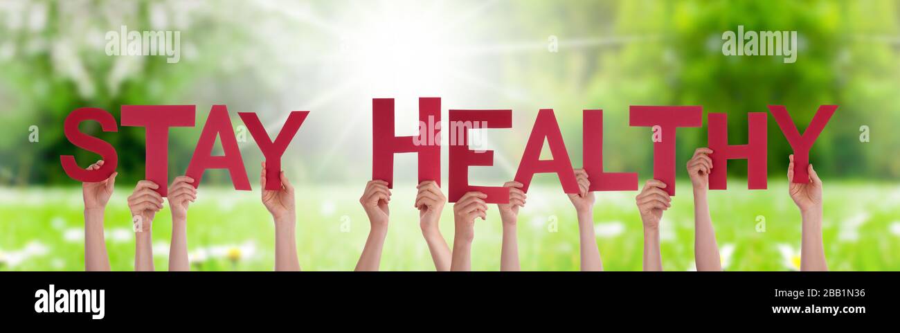 People Hands Holding Word Stay Healthy, Grass Meadow Stock Photo - Alamy