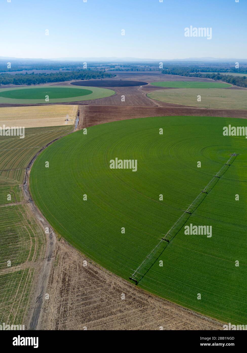 Aerial of centre pivot irrigation system in use growing lucerne for ...